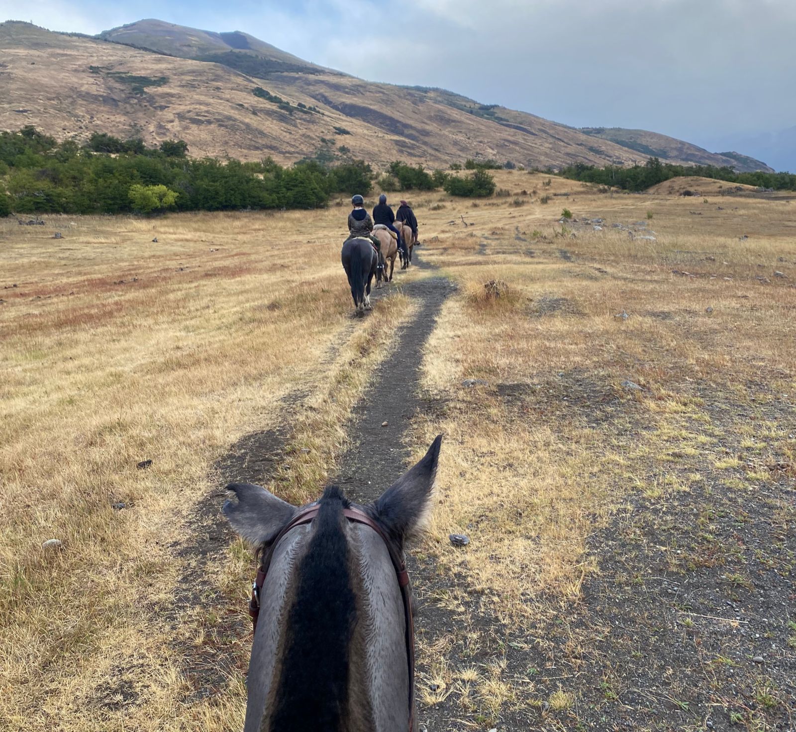Estancia Nibepo Aike: A Journey to Authentic Patagonian Life